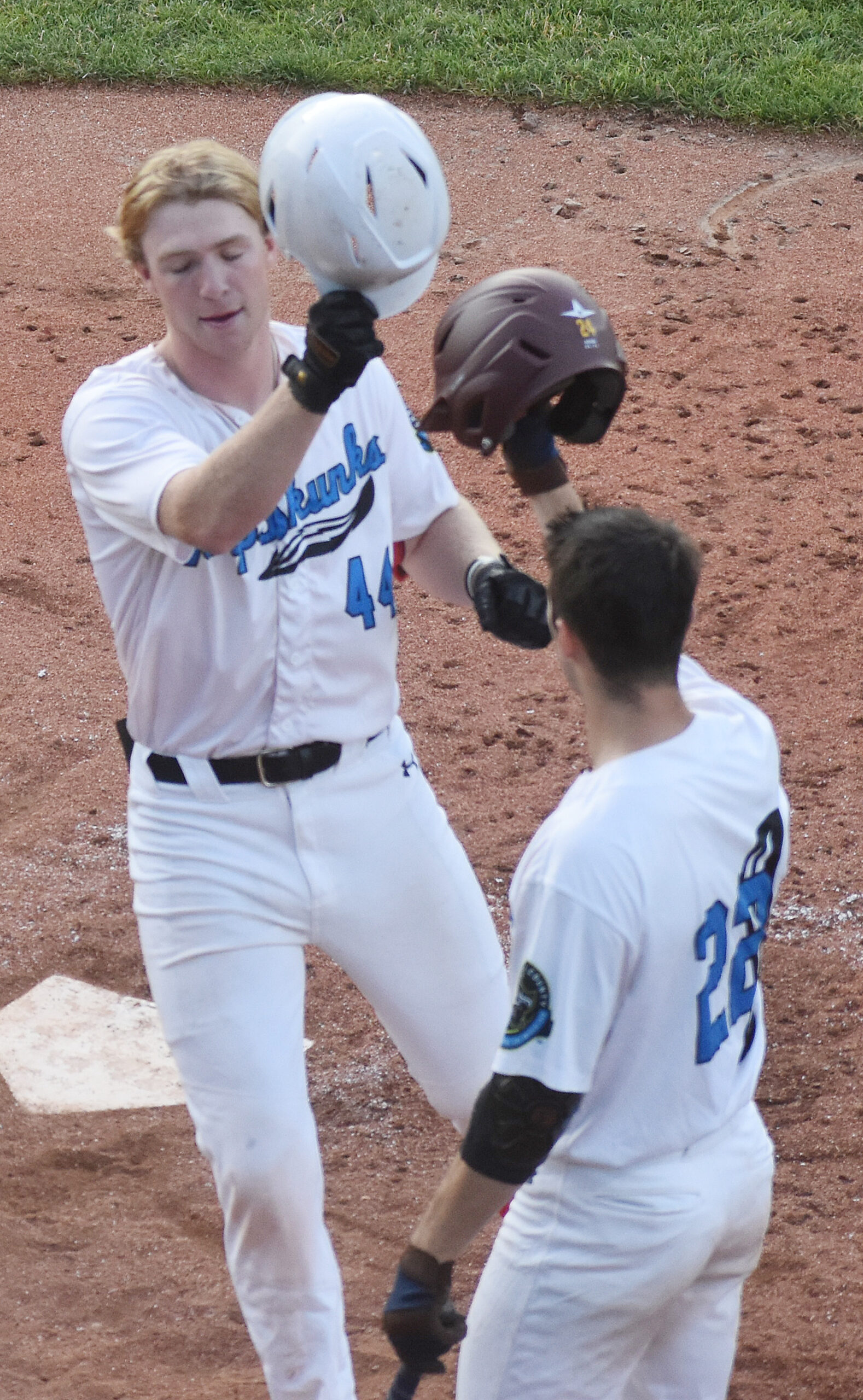 Tarp Skunks Rally Again For Victory | News, Sports, Jobs - Post Journal